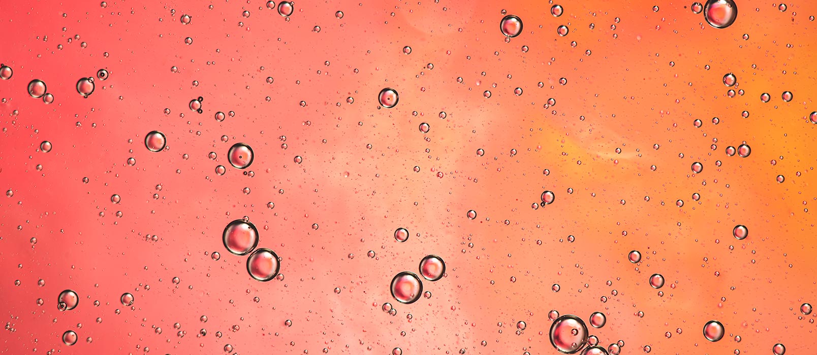 Make Wellness Bioactive Precision Peptide - Next-Gen Nutraceuticals